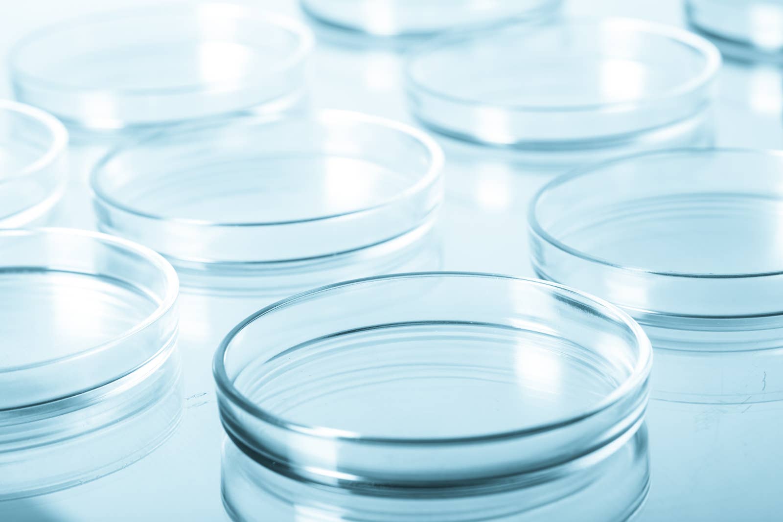 Palantir Health & Life Sciences Solutions