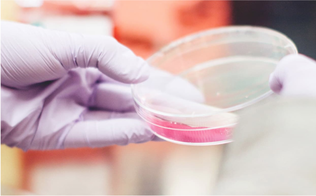 Palantir Health & Life Sciences Solutions