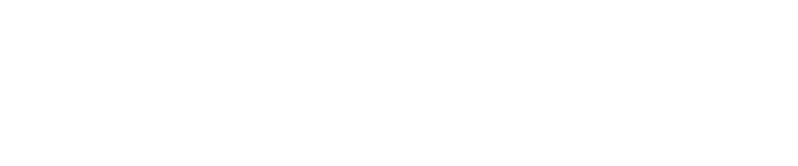 Palantir For Developers