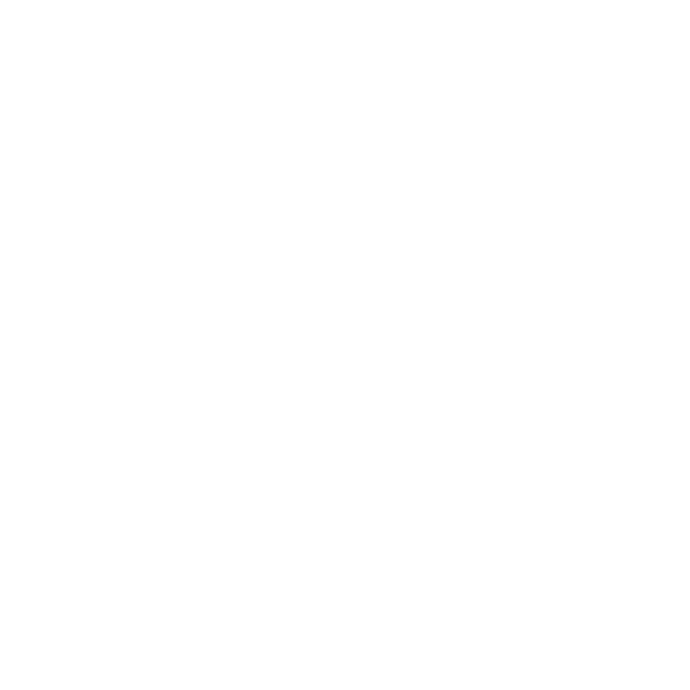 Palantir Defense I Solutions