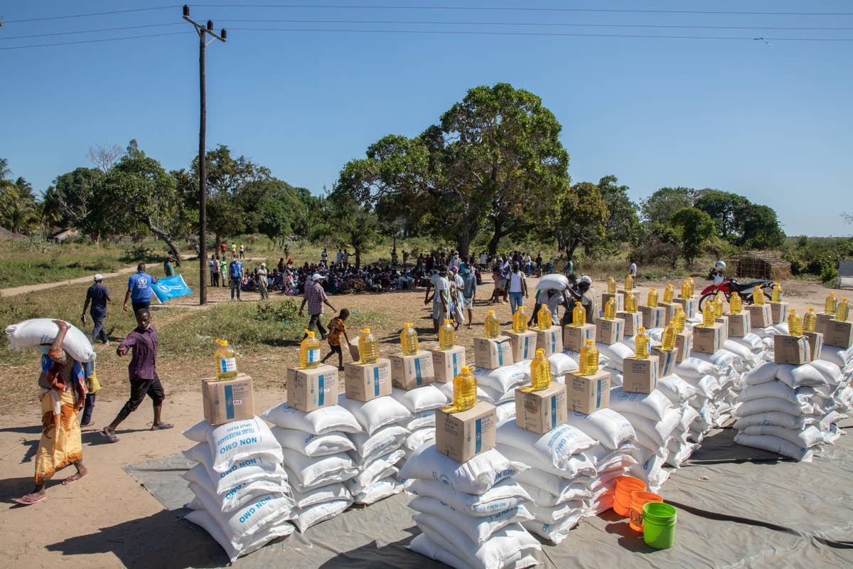 Palantir Impact | Delivering Life-Saving Assistance with WFP